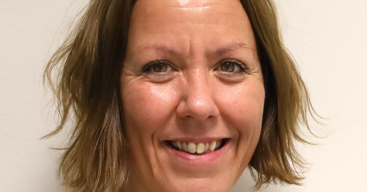 Førsteamanuensis - ldh.no