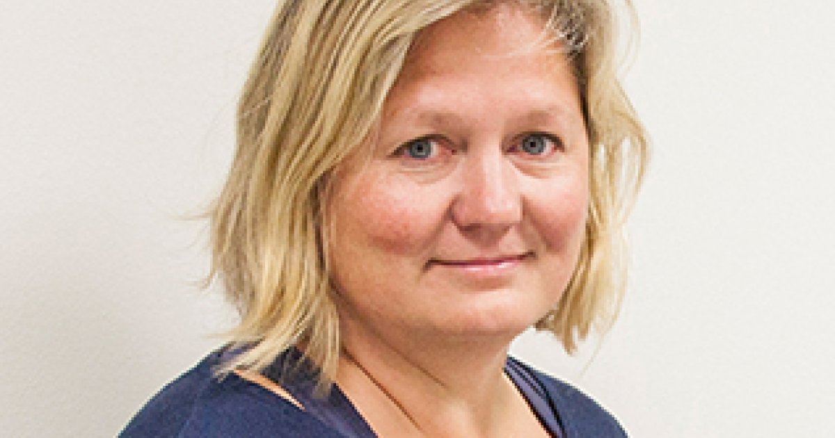 Programansvarlig MAKS & VIKS og førsteamanuensis - ldh.no