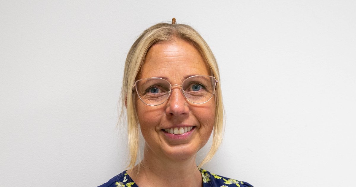 Førsteamanuensis - ldh.no