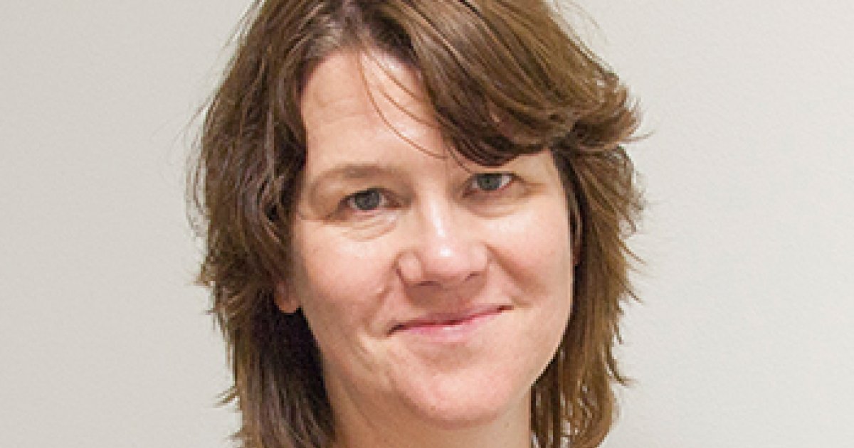 Høgskolelektor - ldh.no