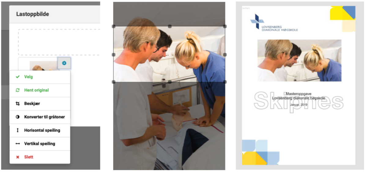 Innlevering av masteroppgave – Lovisenberg Diakonale Høgskole